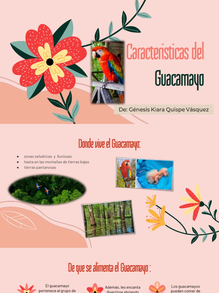 Hábitat y alimentación del guacamayo | PDF