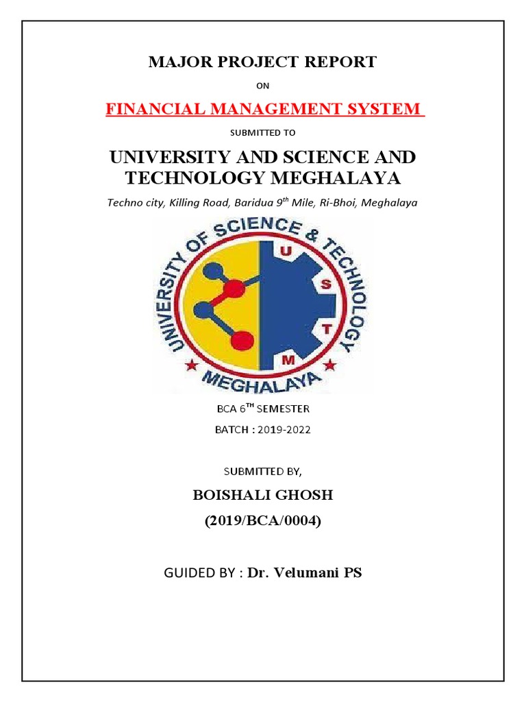 Financial Management System Project Report | PDF | Software Testing ...