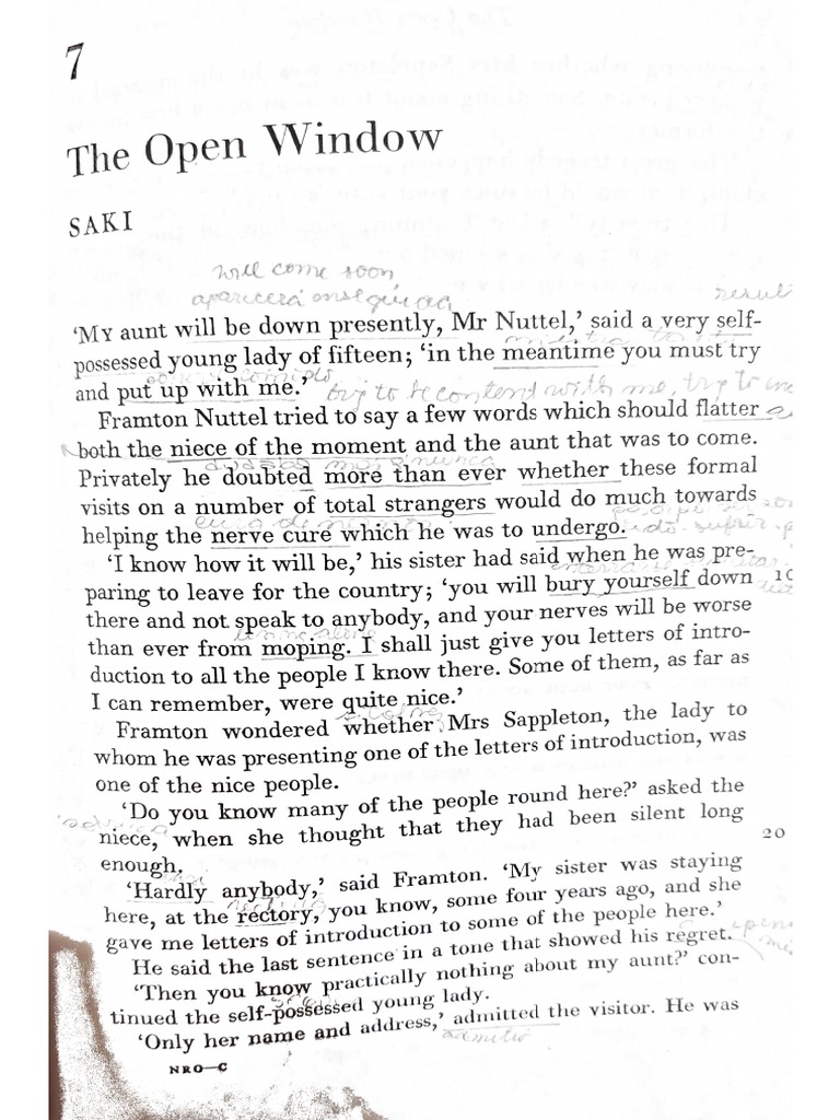 The Open Window | PDF