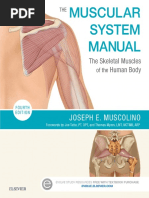 Kinesiology Flashcards, 3E - Lippert, Lynn S., Minor, Mary Alice ...