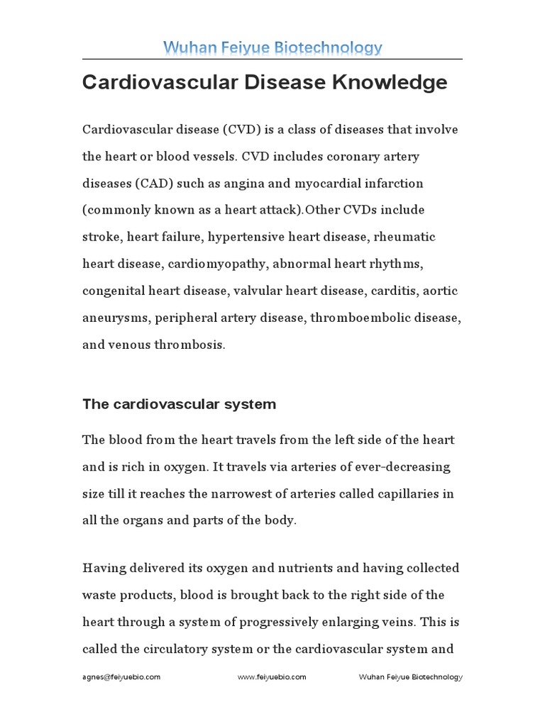 Understanding Cardiovascular Diseases | PDF | Heart | Cardiovascular ...