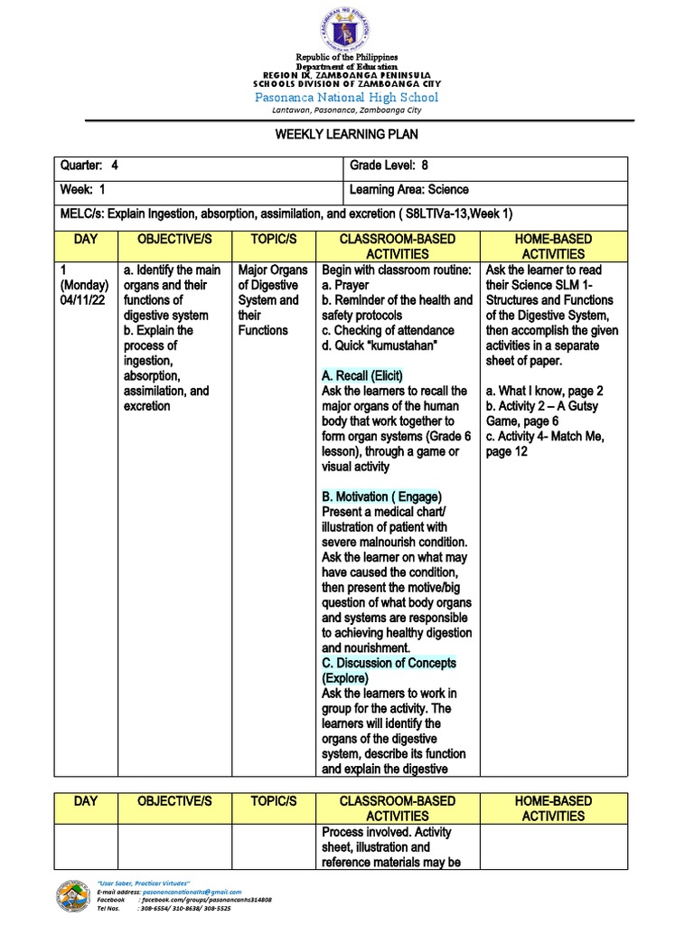 WLP-TEMPLATE-IN-SCIENCE - Copy | PDF | Gastrointestinal Tract | Digestion