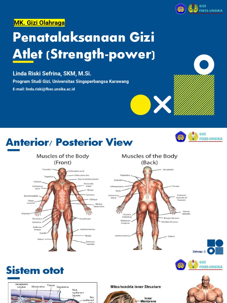 2809 Gizor-12.+Penatalaksanaan+gizi+atlet+ (Strength+power) | PDF ...