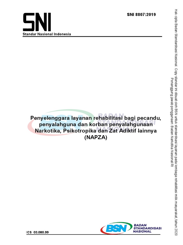 Sni 8807 2019 - BNN | PDF