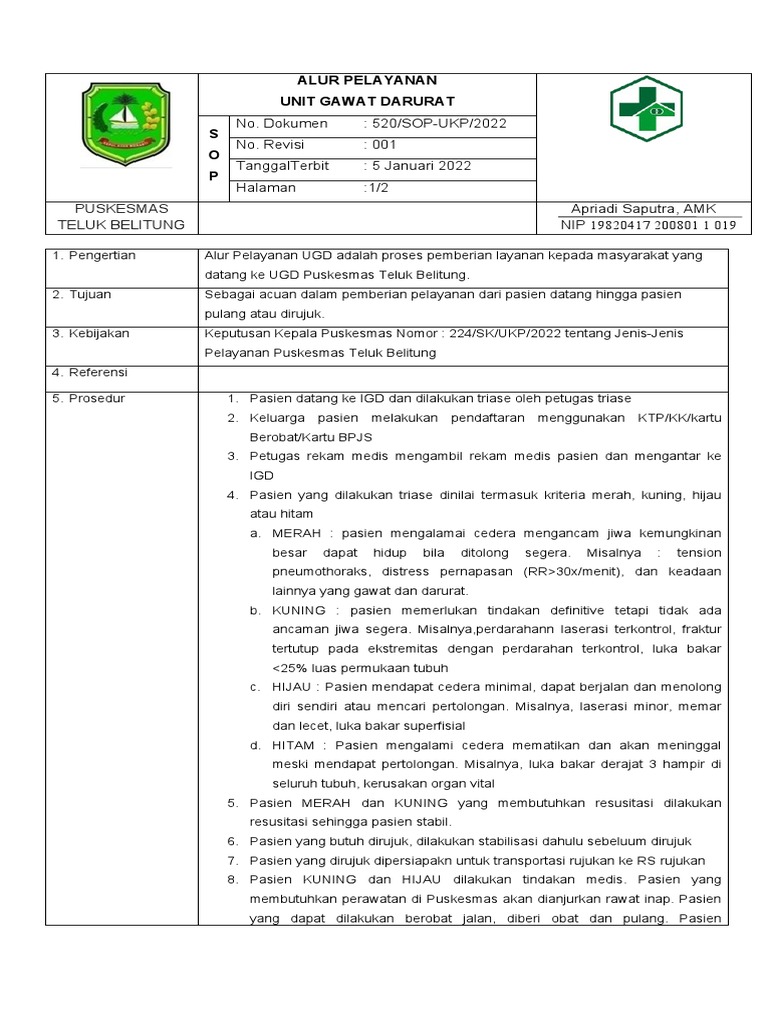 Sop Alur Pelayanan Igd | PDF