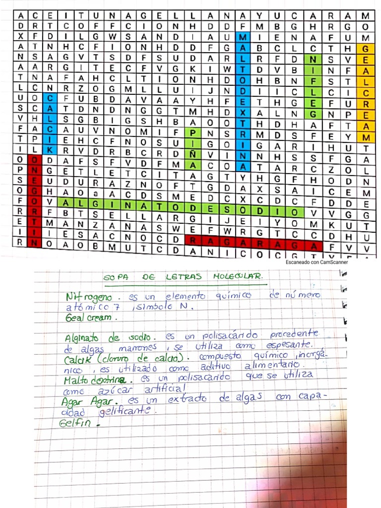 Sopa de Letras Molecular | PDF