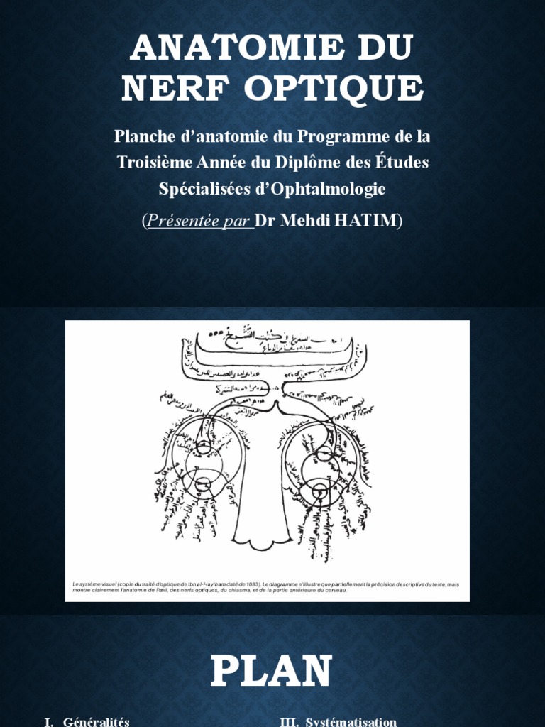 Anatomie Du Nerf Optique | PDF | Tête et cou chez l'humain | Anatomie ...