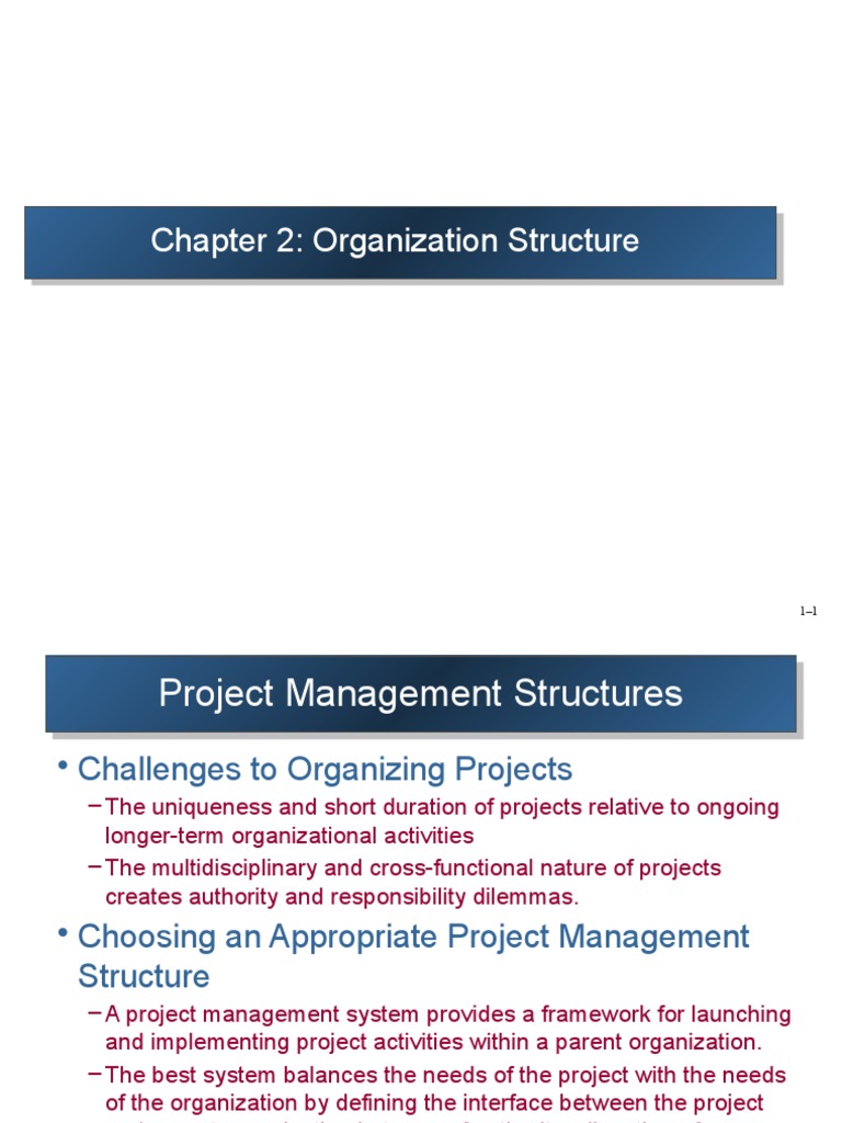Chapter 2: Organization Structure | PDF | Organizational Structure | Project Management