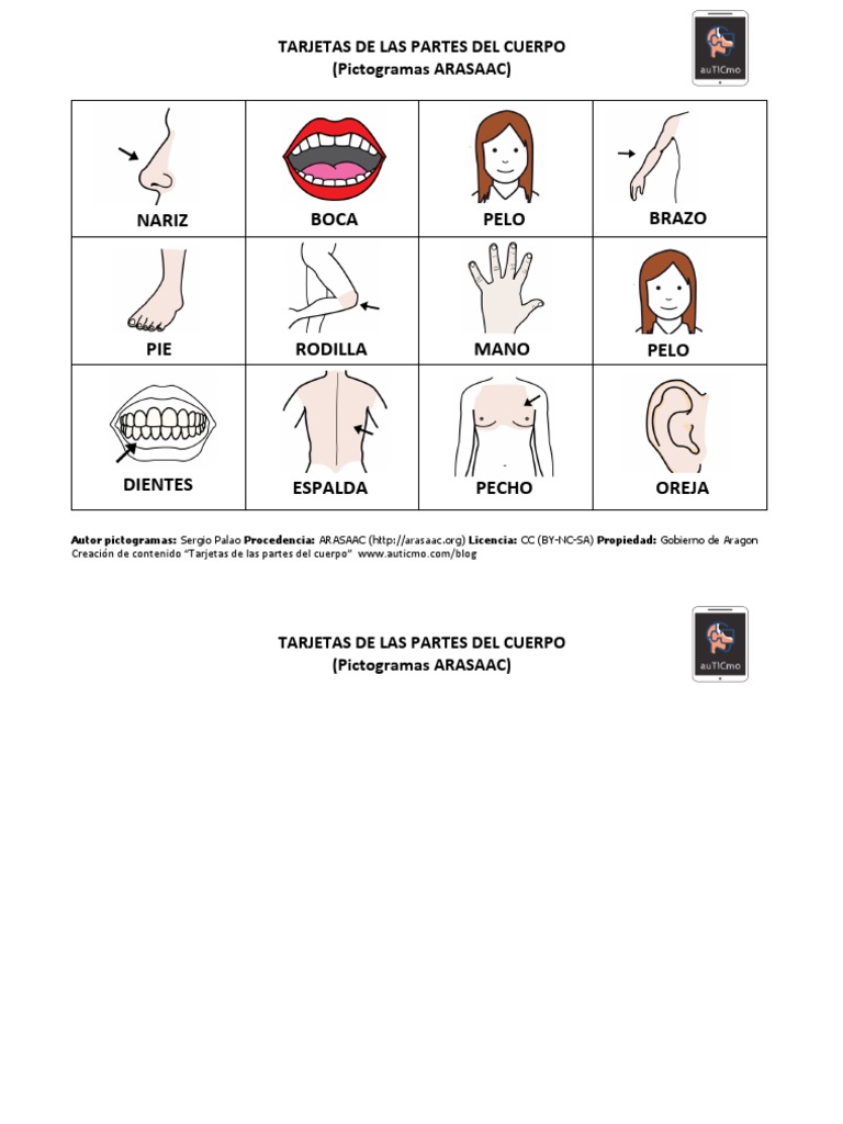 Tarjetas Las Partes Del Cuerpo-4 | PDF