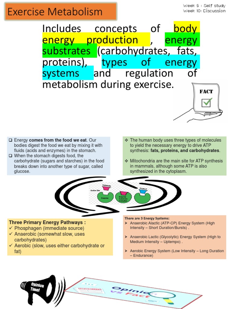 Student Activity Week 9 Exercise Metabolism | PDF | Wellness