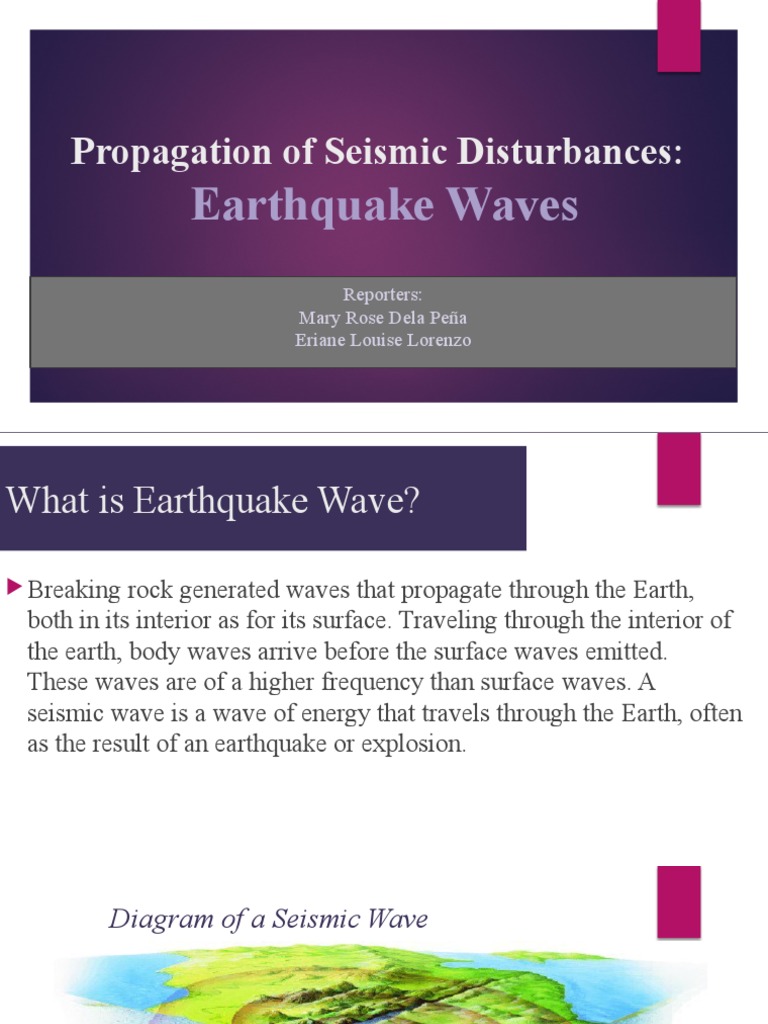 Propagation of Seismic Disturbances | PDF | Earthquakes | Waves