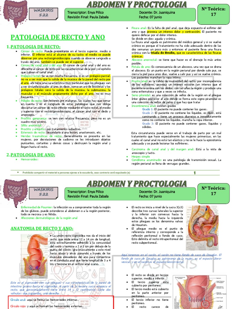 17 - Cir3 - Anatomia y Fisiologia Ano y Recto Enfermedad Inflamatoria ...