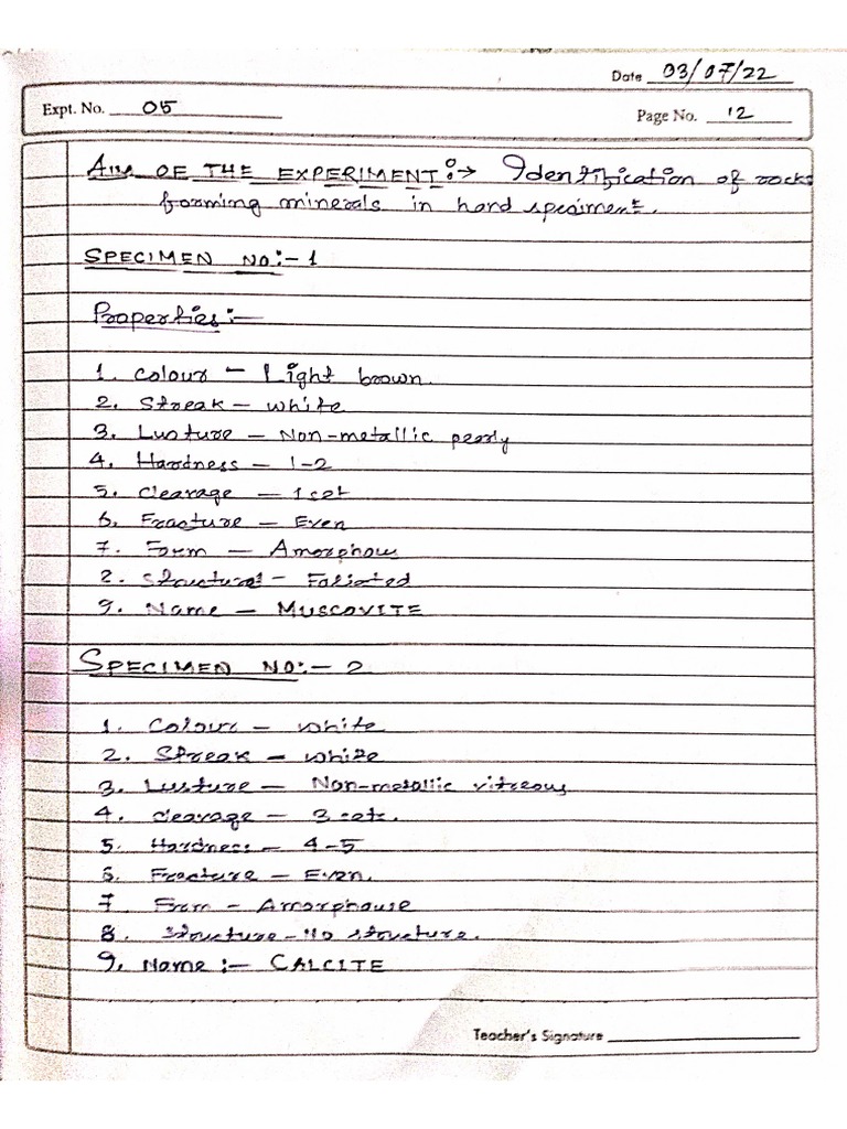 Hand Specimen | PDF