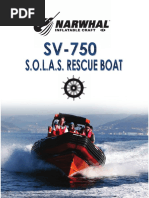 Iacs Ship Structure Access Manual | PDF | Surveying | Corrosion