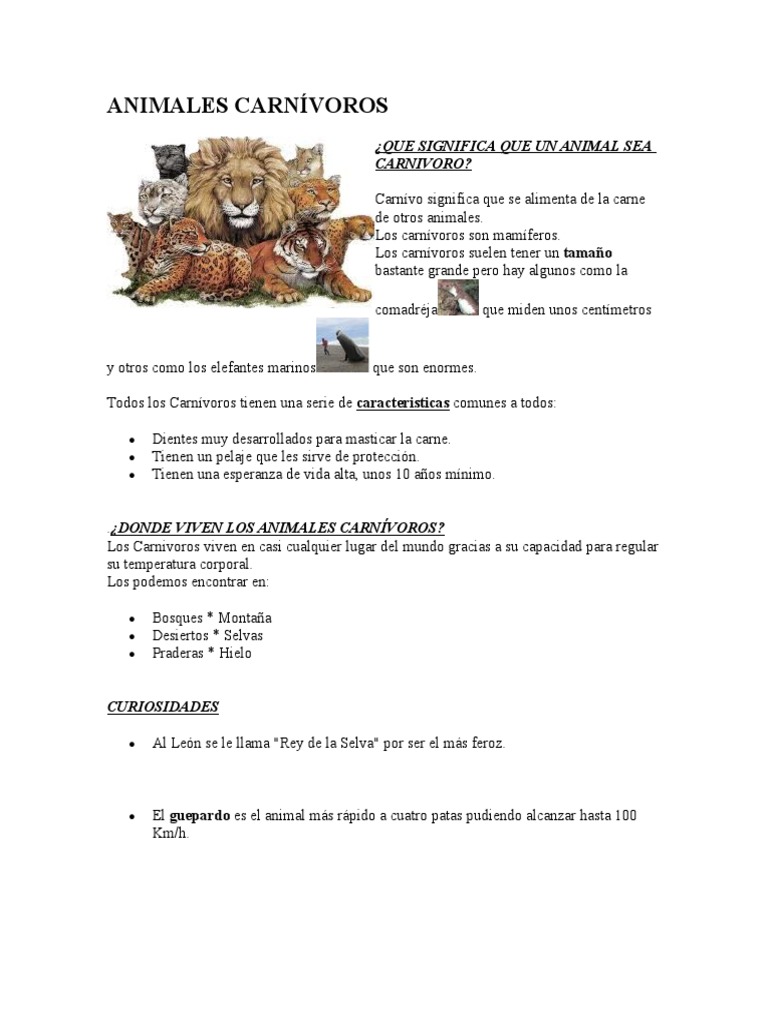 Animales Carnívoros | PDF | Herbívoro | Carne