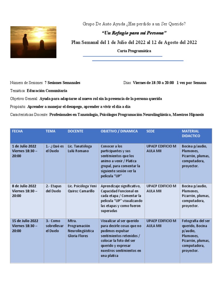 Carta Programatica | PDF | Cognición | Psicología Aplicada