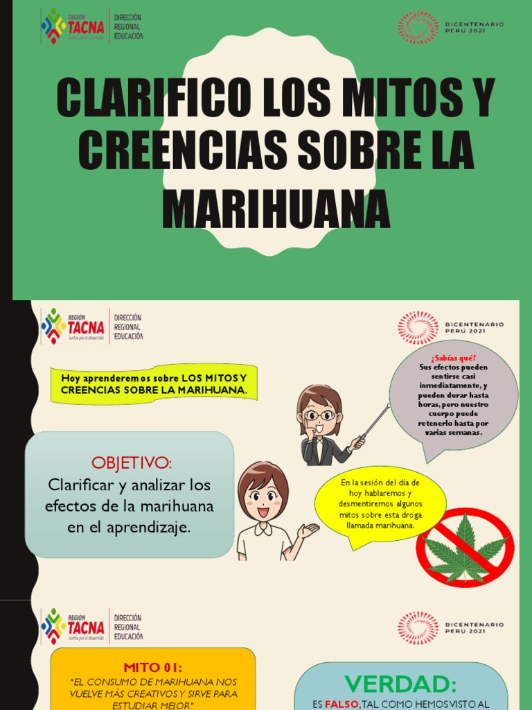 Ppt Clari Co Los Mitos Y Creencias Sobre La Marihuana Pdf Cannabis