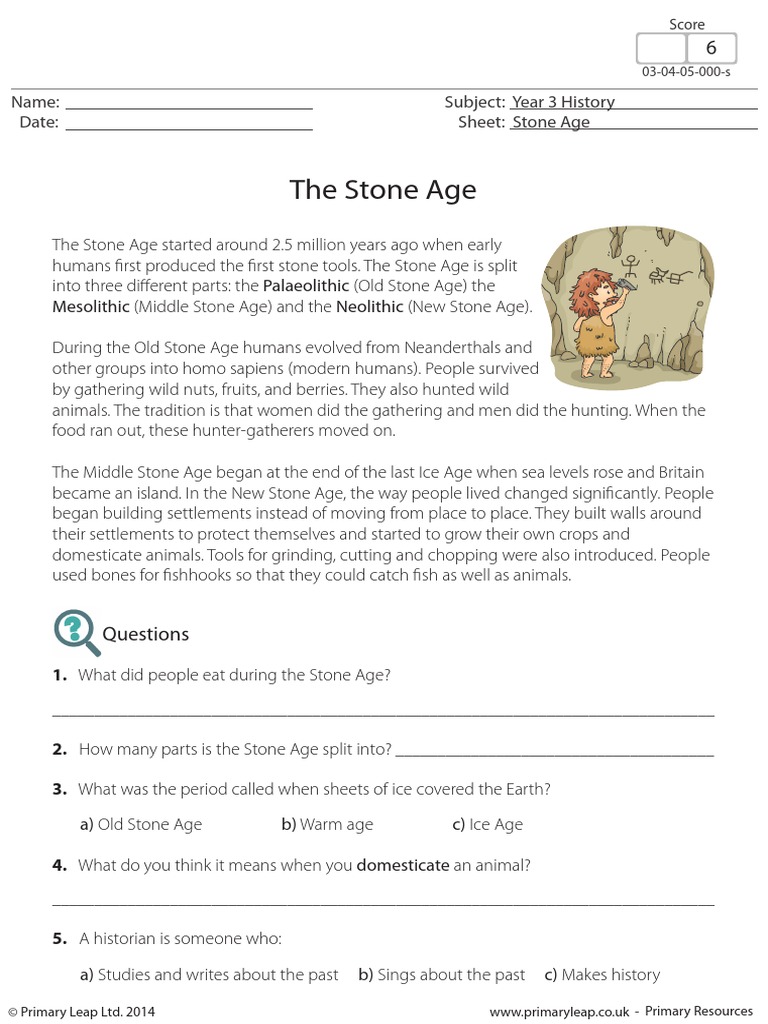 READING THE STONE AGE | PDF | Stone Age | Paleolithic