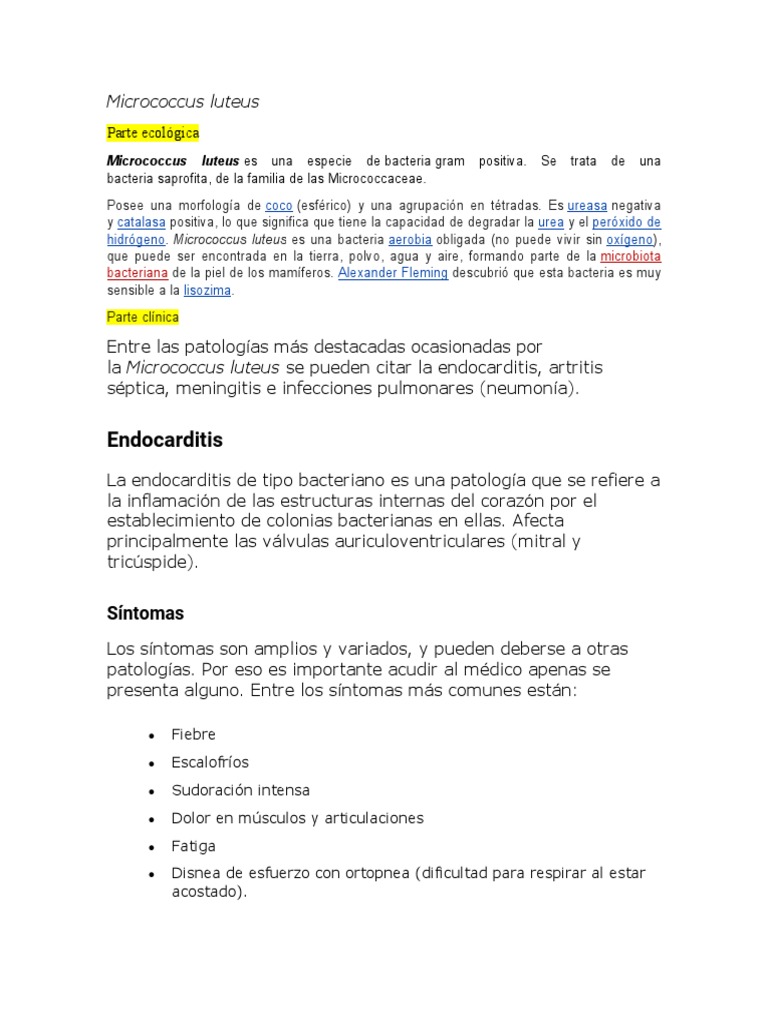 Micrococcus Luteus | PDF | Escherichia coli | Organismos