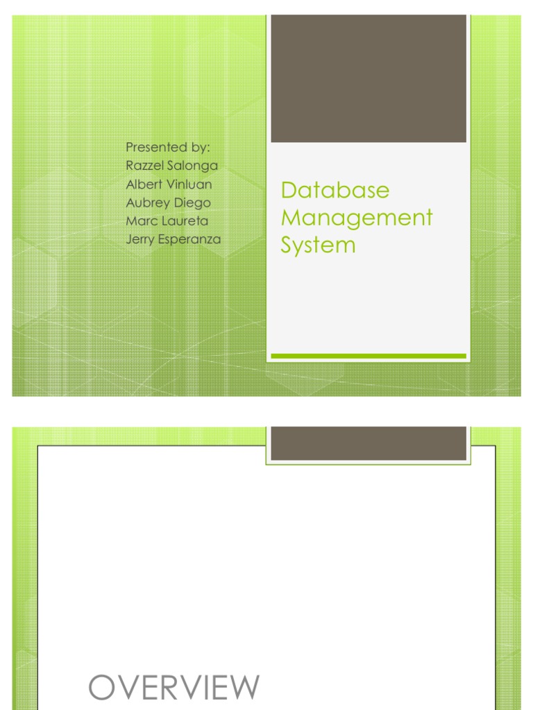 Database Management System | PDF | Databases | Relational Database