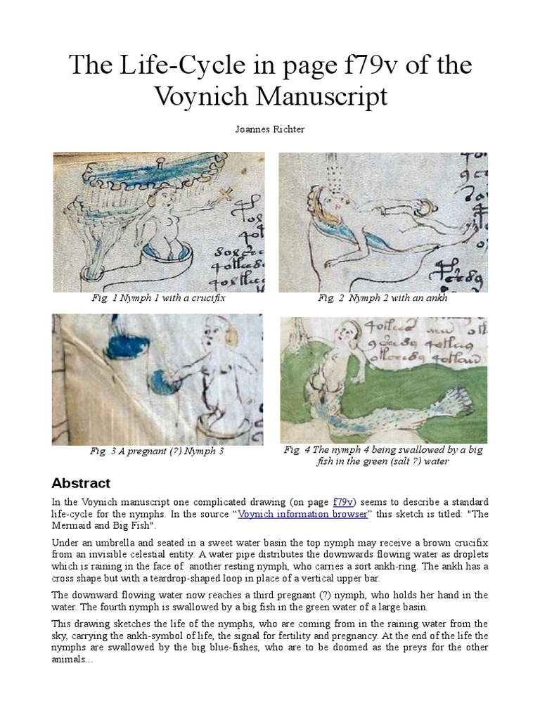 Voynich (5) : The Life-Cycle in Page f79v of The Voynich Manuscript ...