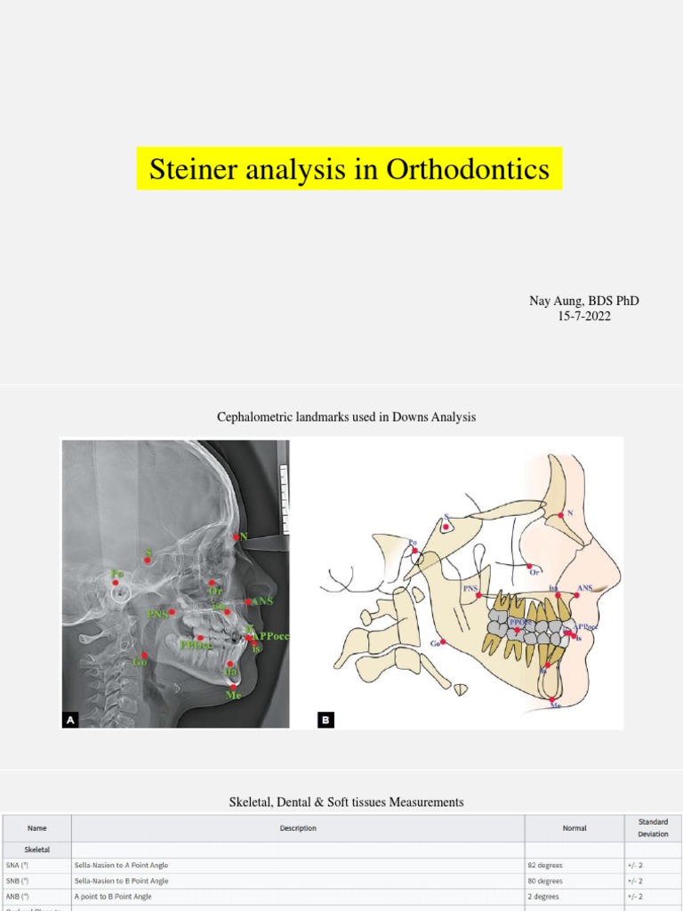 Steiner Analysis in Orthodontics | PDF