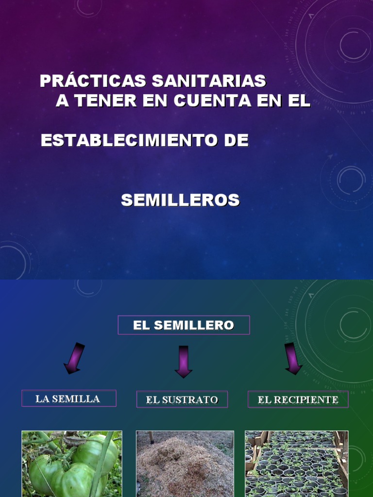 Semilleros Sustrato - PPT (Autoguardado) | PDF | Compost | Suelo
