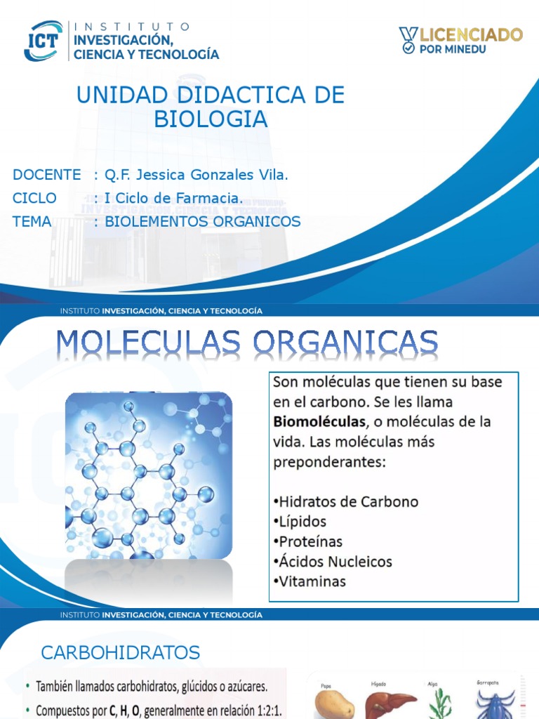 Biologia 6ta. Clase-Bioelementos Organicos | PDF | Cocina, comidas y ...