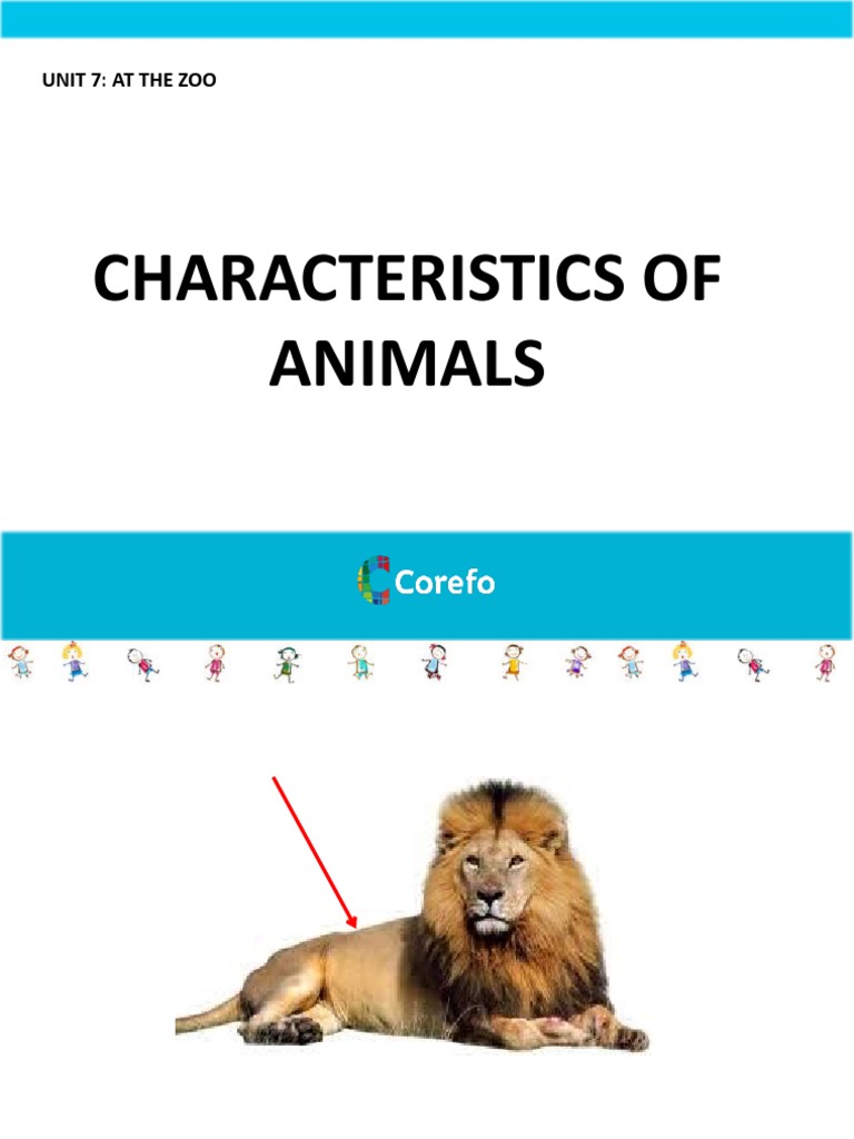 Characteristics of Animals: Unit 7: at The Zoo | PDF