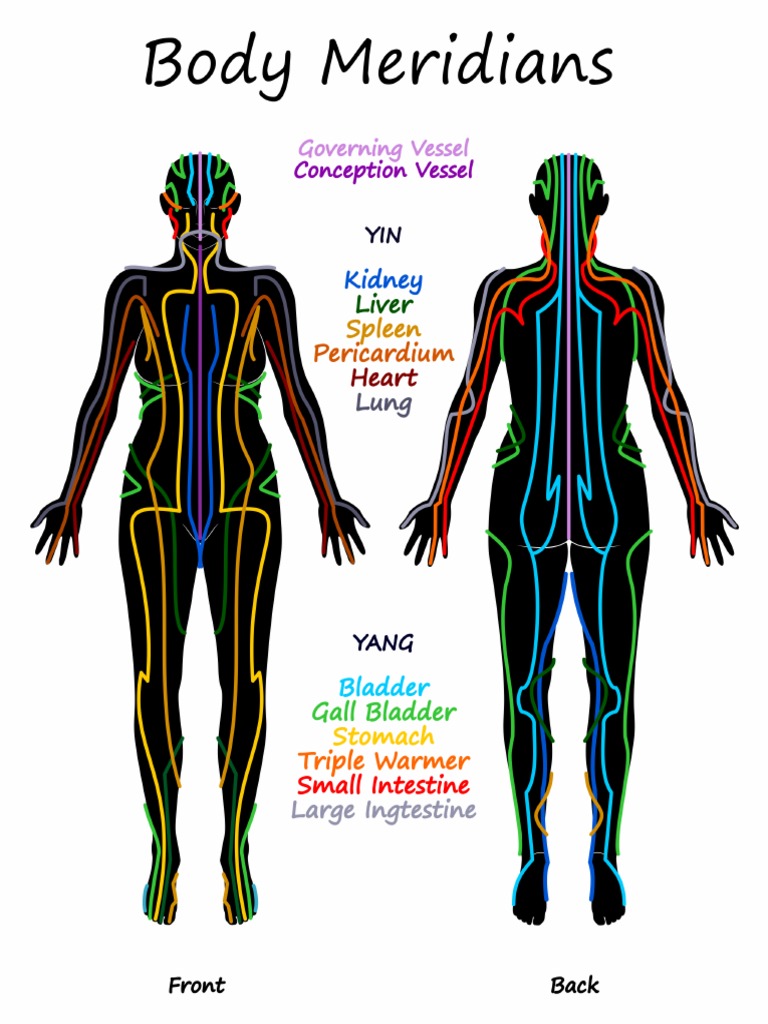 Body Meridians | PDF