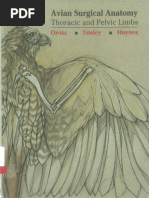 Basketball Risk Assessment | PDF | First Aid | Injury