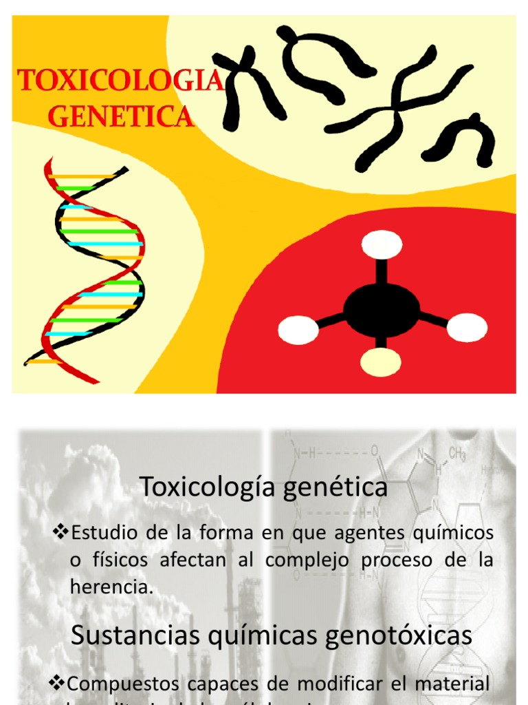Toxicología Genética y Agentes Genotóxicos | PDF