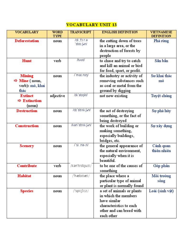 Vocabulary Unit 13 | PDF
