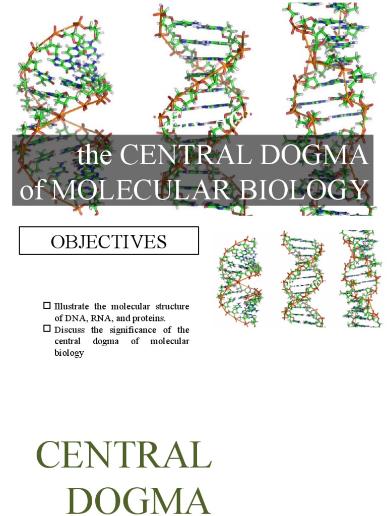 The Central Dogma of Molecular Biology | PDF | Rna | Dna