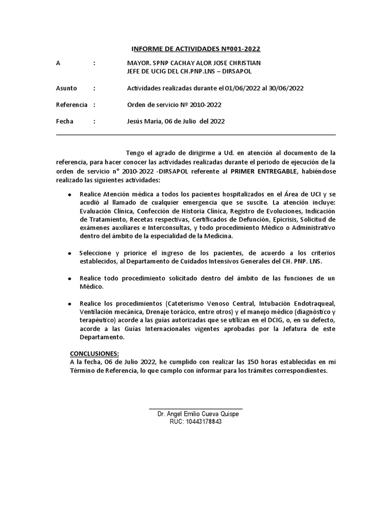MODELO DE INFORME JUNIO 2022 | PDF