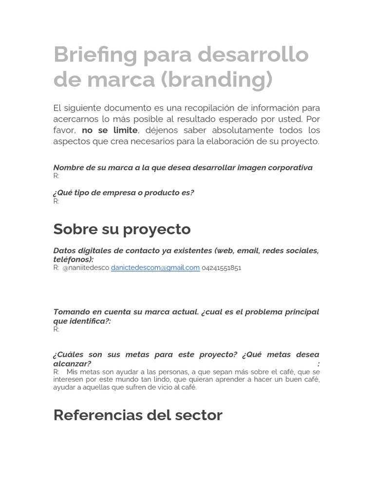 Briefing para Desarrollo de Marca | PDF | Marca | Marketing