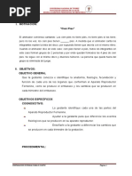 Anatomía del Cuerpo de Highmore | PDF | Testículo | Próstata