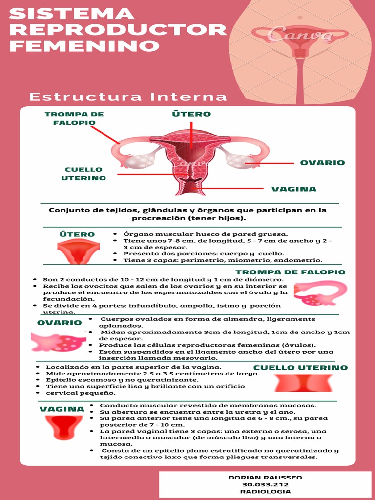 Sistema Reproduc | PDF