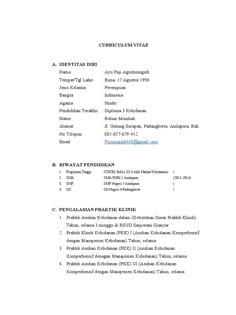 Curriculum Vitae (CV) Lamaran | PDF
