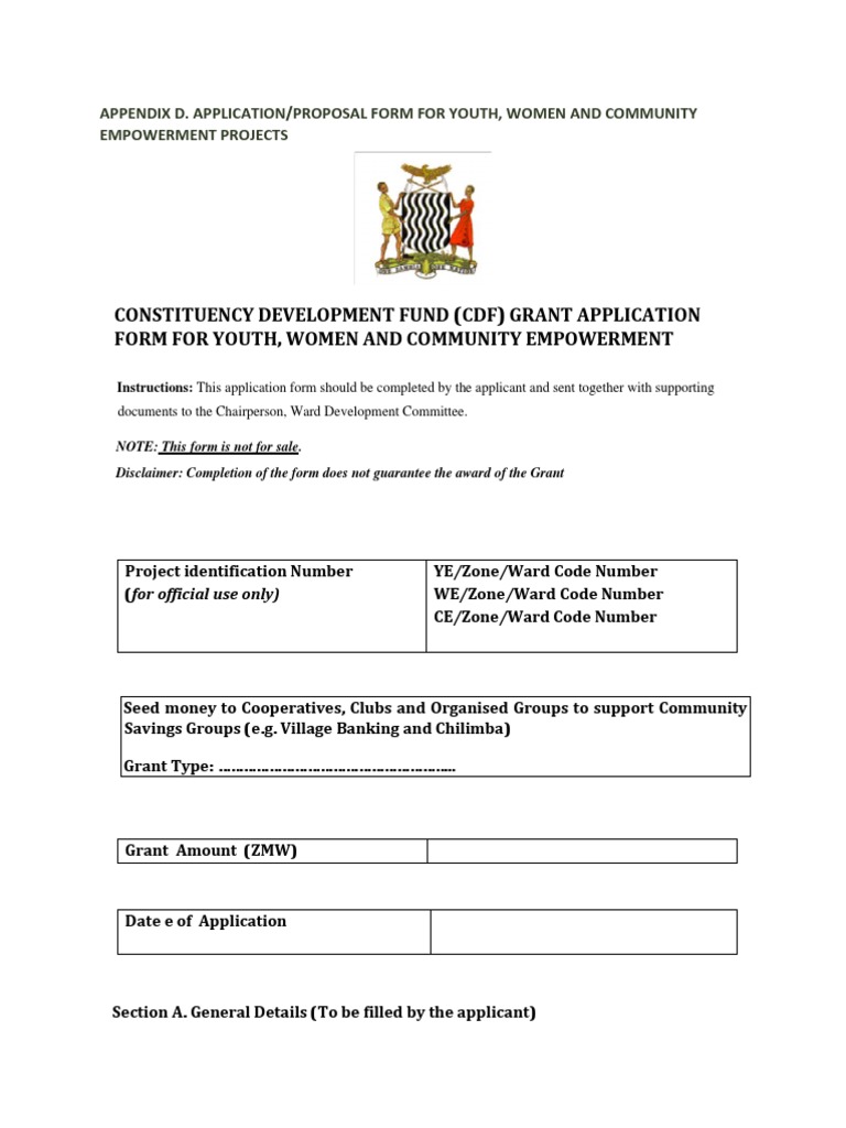 Application Form For Youth, Women and Community Empowerment Projects ...