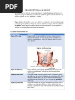 Signo de Murphy en Colecistitis Aguda | PDF | Vesícula biliar ...