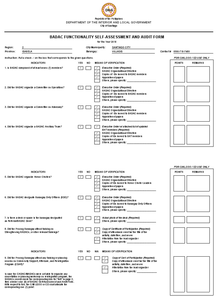 3 Badac Self Assessment and Audit Form | PDF | Audit | Government