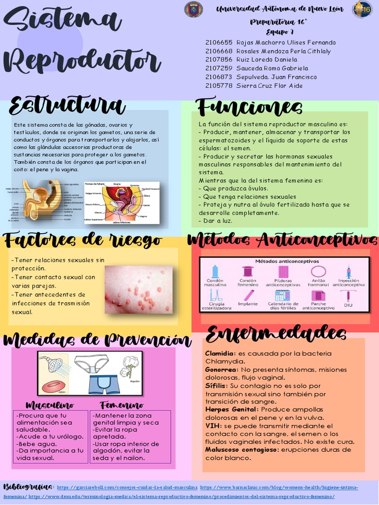 Equipo7 Ev4 Bels | PDF | Sistema reproductivo | Semen