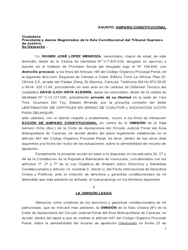 Accion de Amparo Por Omisión de Pronunciamiento David Orta | PDF ...