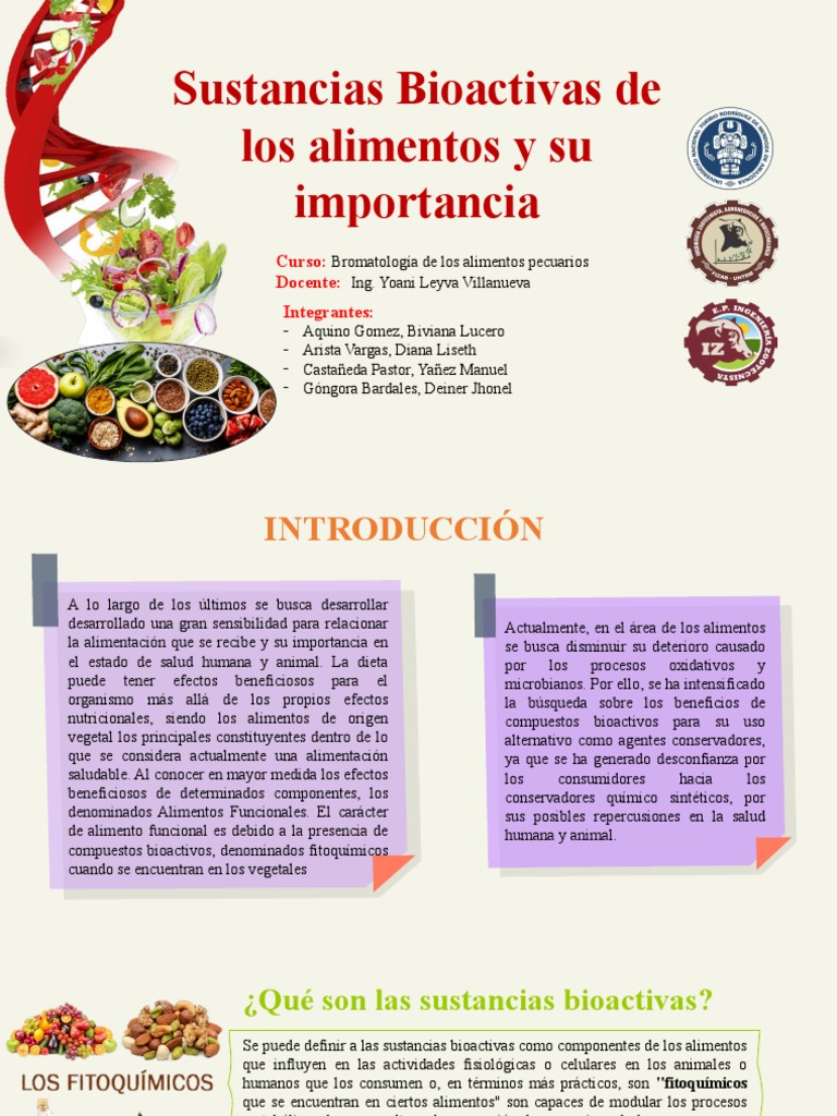 Sustancias Bioactivas en Alimentos | PDF | Alimentos | Fibra dietética