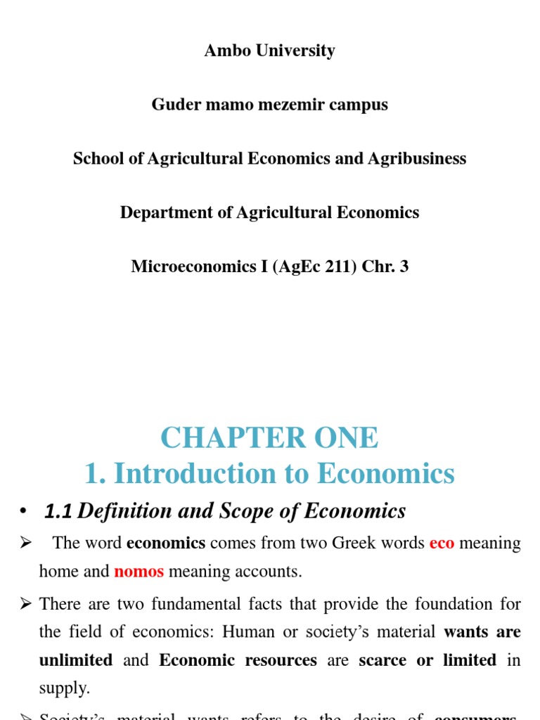 Microeconomics 1 | PDF | Demand | Price Elasticity Of Demand