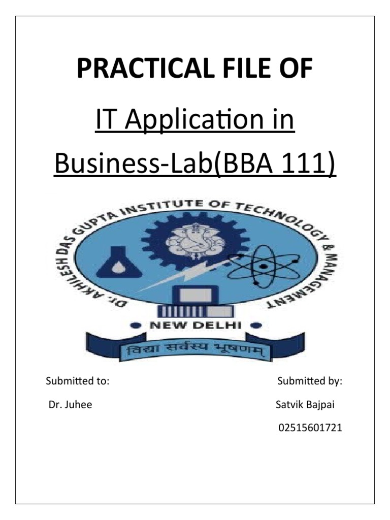 PRACTICAL FILE OF E Commerce | PDF | Computer File | Microsoft Excel