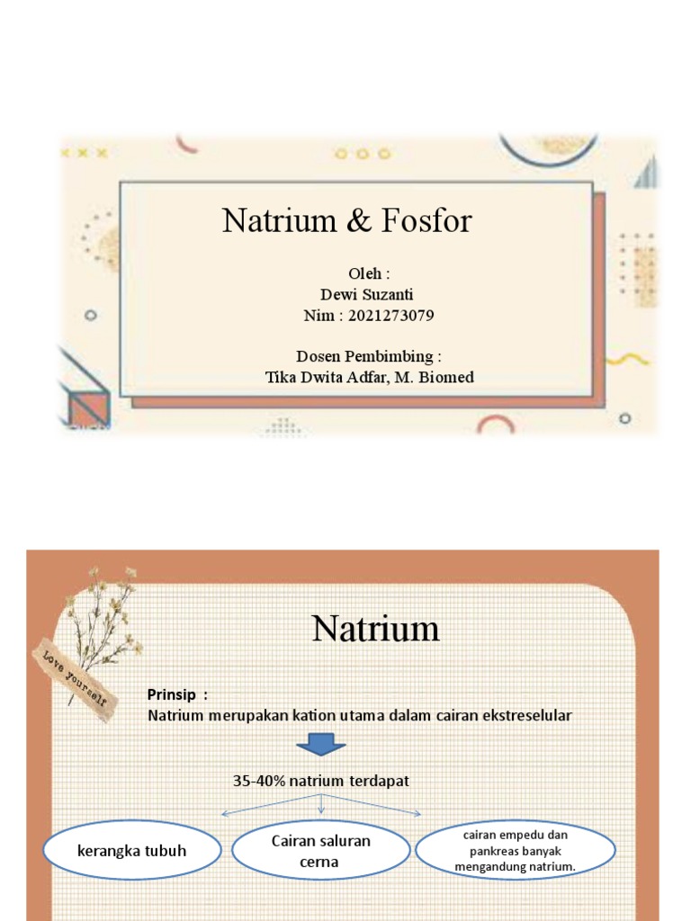 Natrium Dan Fosfor | PDF