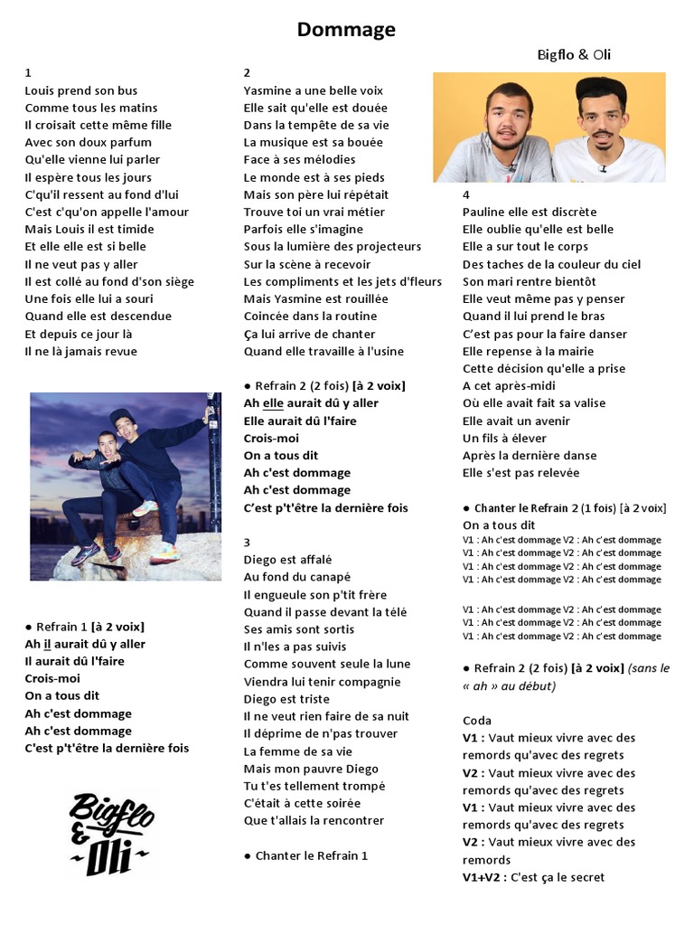 Paroles de "Dommage" - Bigflo & Oli | PDF