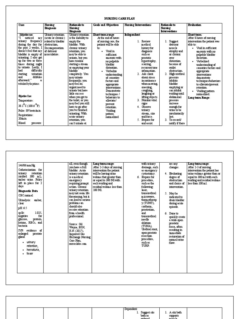NCP Urinary retention | PDF | Urinary Incontinence | Urination